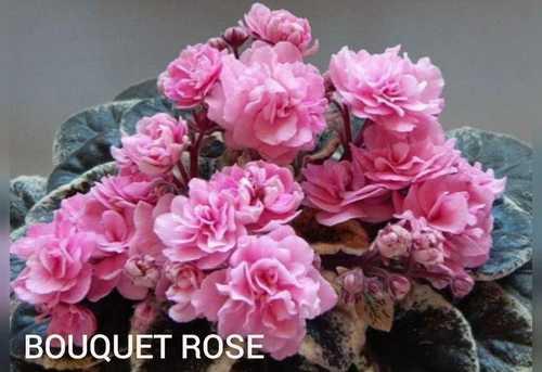 Фиалка цветущая сортовая Bouquet Rose