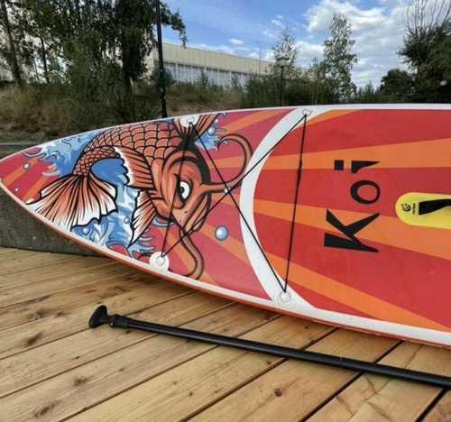 Sup board koi