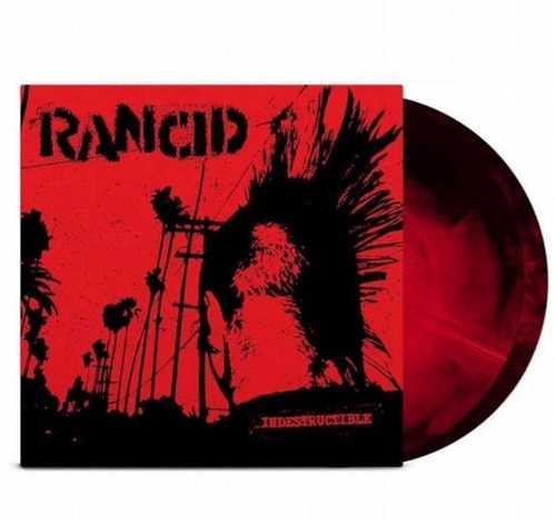 Rancid - Indestructible винил цветной