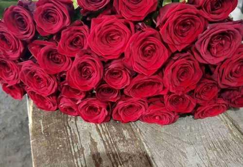 Розы, букет цветов, 101 роза, 51 роза. Розы опт