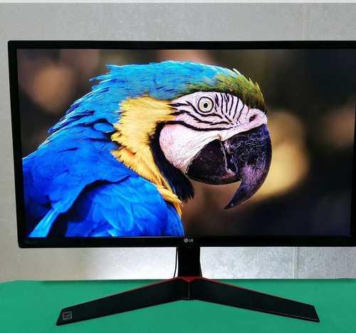 Монитор LG 24" IPS 75 Гц Идеальный