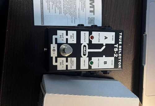 AMT TS-2 Loop Selector