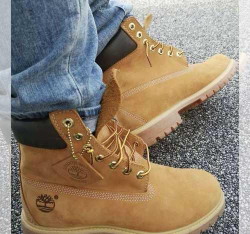 Timberland 6 inch premium