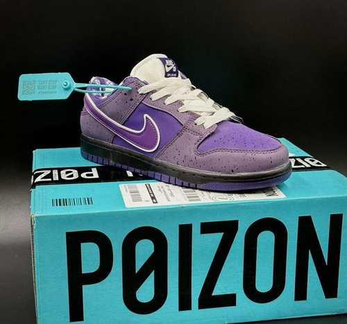 Кроссовки Nike sb dunk low purple lobster