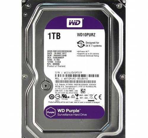 Жесткий диск WD SATA3 1Tb Purple Video IntelliPower 64Mb (WD10purz)