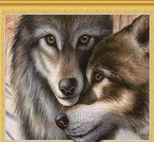 Алмазная мозаика 40x50 Пара молодых волков на фоне