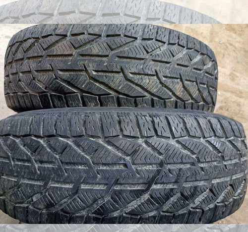 Tigar Winter 205/60 R16 94G