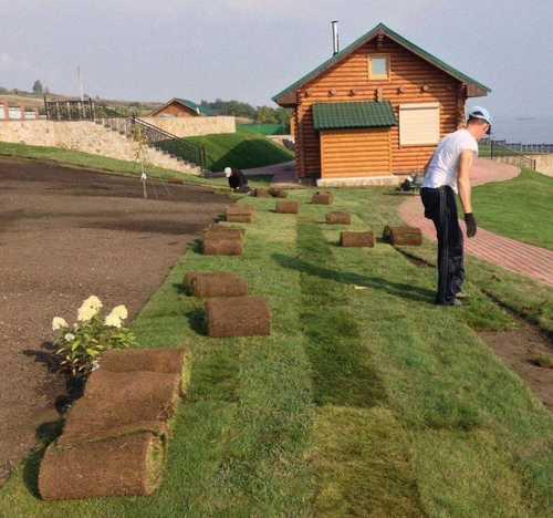 Рулонный газон с гарантией производителя