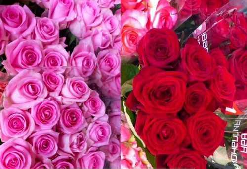 8 марта тюльпаны букет доставка цветов подарок роз