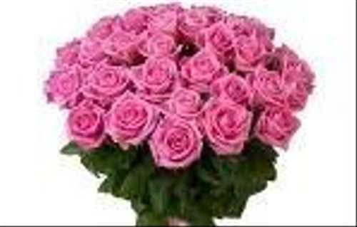 Букет из 39 розовых роз 60 см, цветы доставка