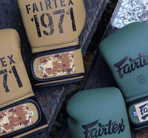 Перчатки для бокса Fairtex BGV11 F-DaY