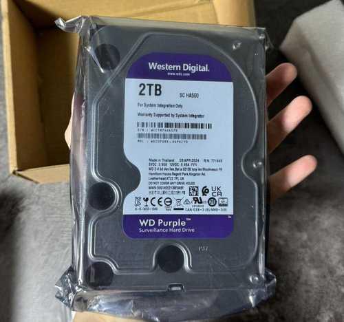 Жесткий диск western digital purple 2tb