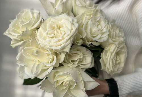 Белая роза Танзании 50см