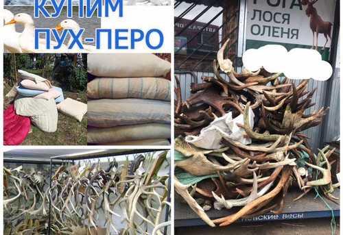 Перины, Подушки Пух Перо рога лося, Оленя