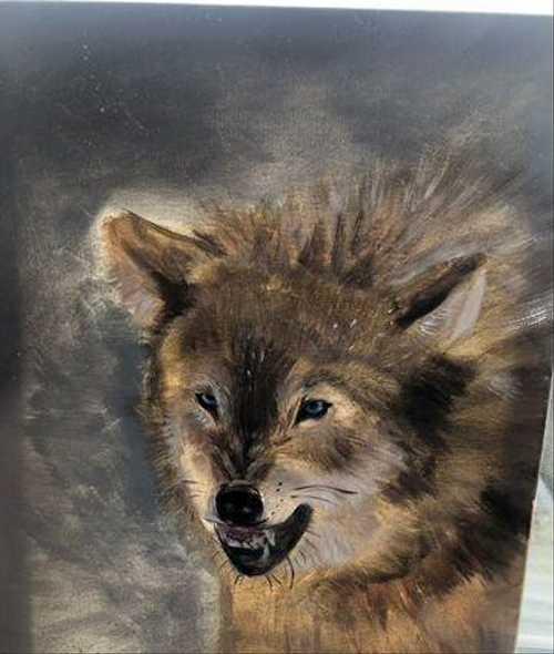 Картина молодой волк