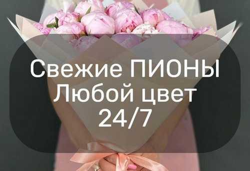 Пионы, цветы, Москва 25 51 101
