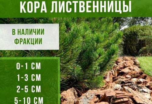 Кора лиственницы в Калуге крупный опт