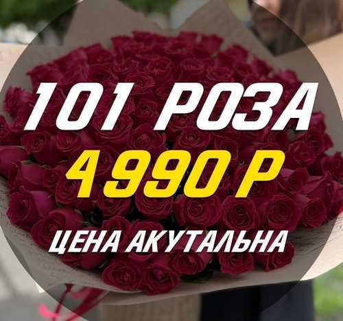 Букет цветы 101 роза