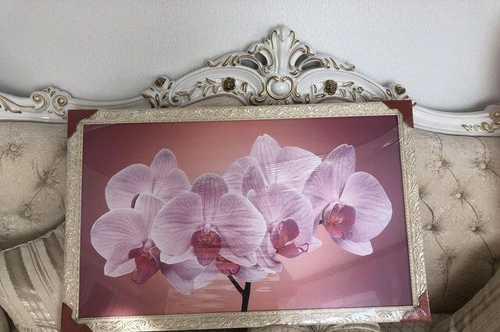 Новая картина орхидея