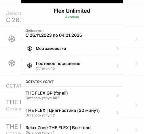Абонемент в THE flex