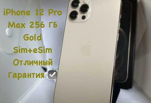 iPhone 12 Pro Max, 256 ГБ