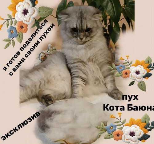 Пух шерстка кота Баюна эксклюзив