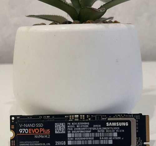 SSD Samsung 970 EVO Plus 250GB