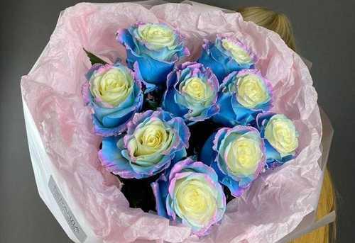 Розы необычные, нежные розы, синие розы