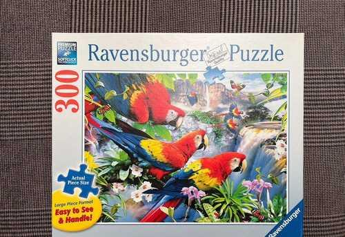 Ravensburger новые пазлы с Попугаями