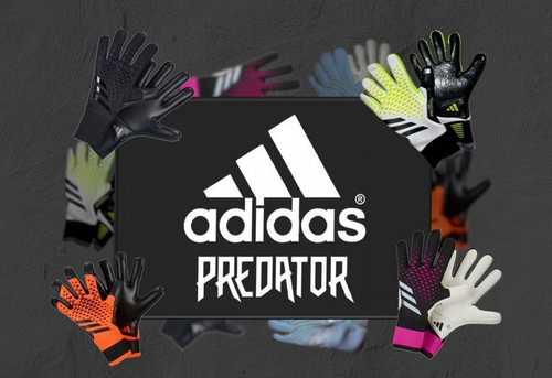 Вратарские перчатки adidas predator