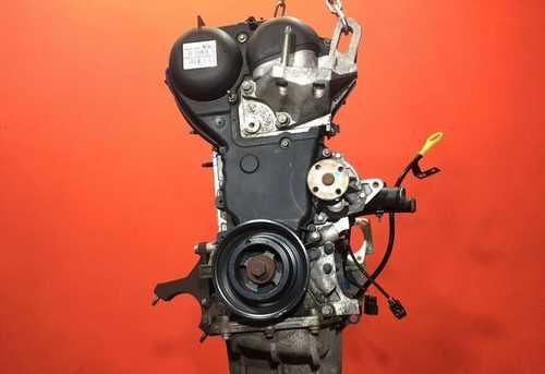 Двигатель Ford Focus 3 хетчбэк pnda 1.6L 1596
