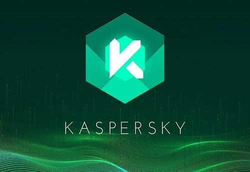 Kaspersky (Standart), Plus Internet security