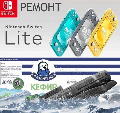 Nintendo switch lite запчасти Экран / чипы / акб