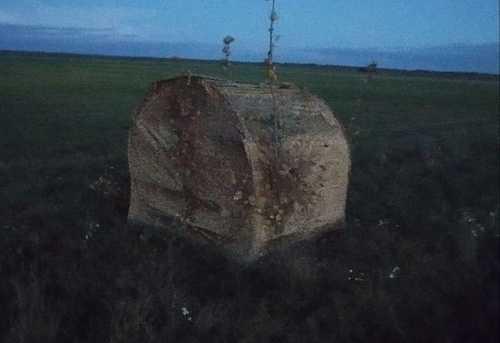 Скрадок на гуся