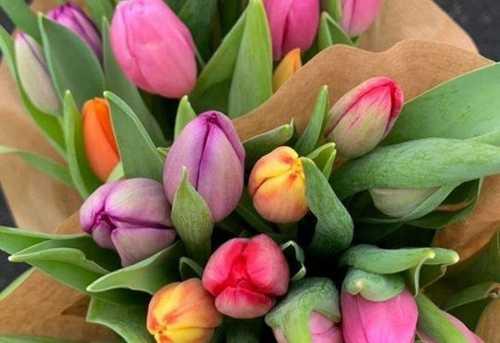 Цветы тюльпаны опт