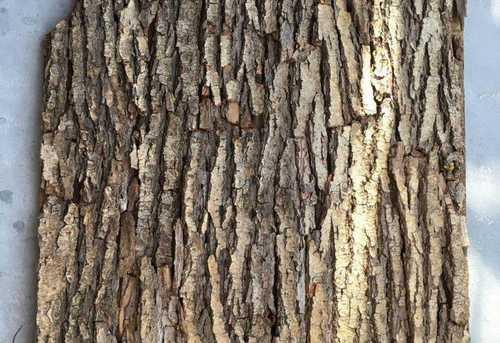 Фотофон из натуральной коры дерева