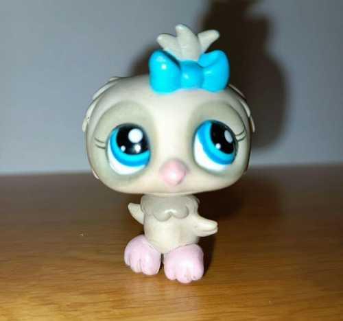 Lps совунья