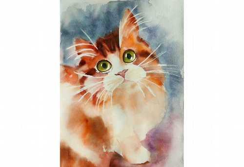 Картина кот портрет животного акварелью 37х25