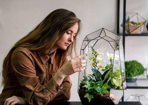 "Лориен" - флорариум с орхидеей от Glass & Grass
