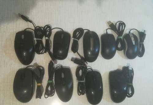 Компьютерные мыши в ассортименте