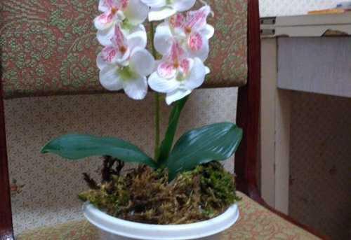 Орхидея искусственная