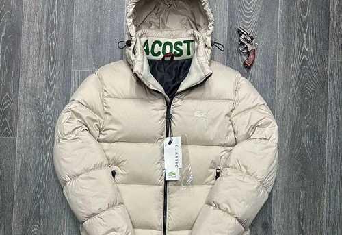 Зимняя куртка lacoste