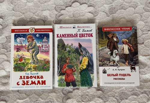 Книги для внеклассного чтения