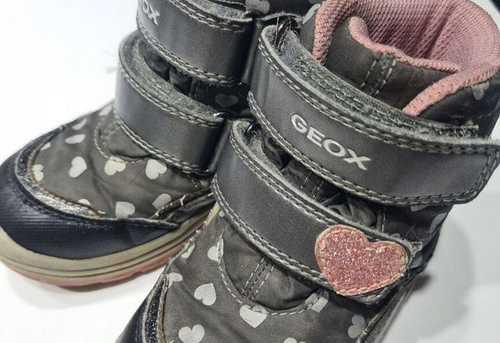 Зимние ботинки geox 23