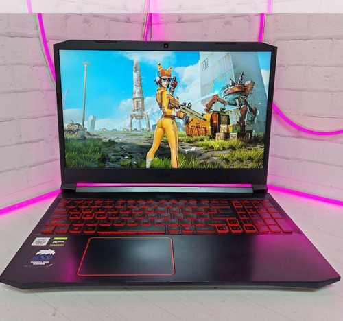 Ноутбук Acer Nitro 5 i5/DDR4/256 Gb   1 Tb