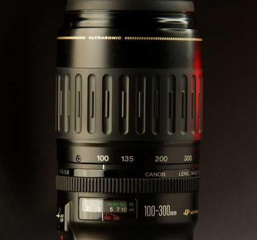 Canon EF 100-300 mm f/ 4.5-5.6 USM