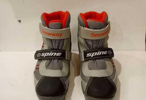 Лыжные ботинки коньковые spine