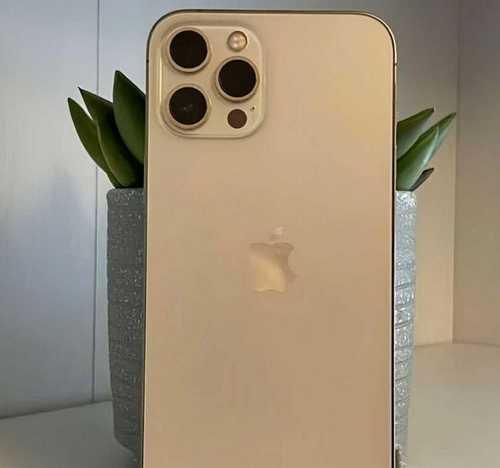 iPhone 13 Pro, 256 ГБ