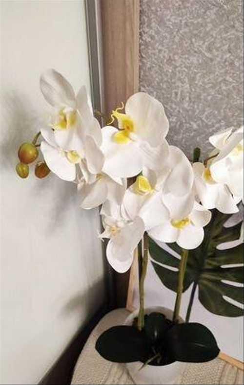 Искусственное растение, Орхидея фаленопсис