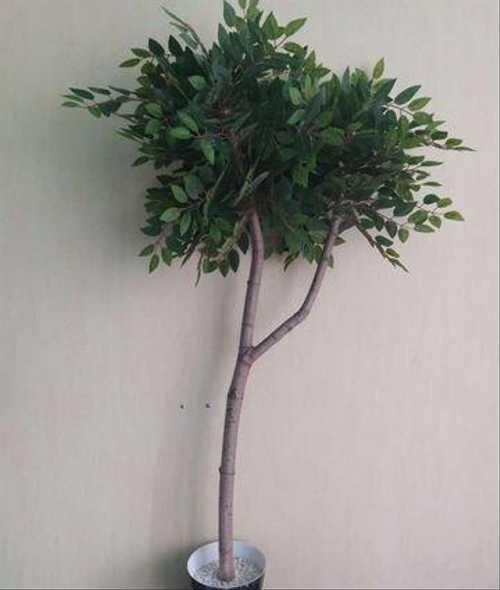 Искусственное дерево Глициния